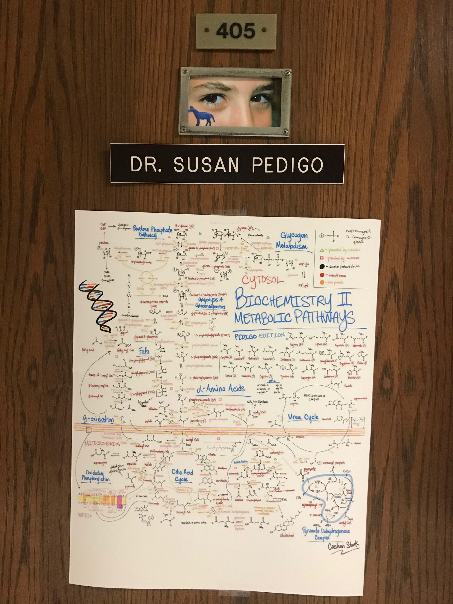 Pedigo Lab – University of Mississippi